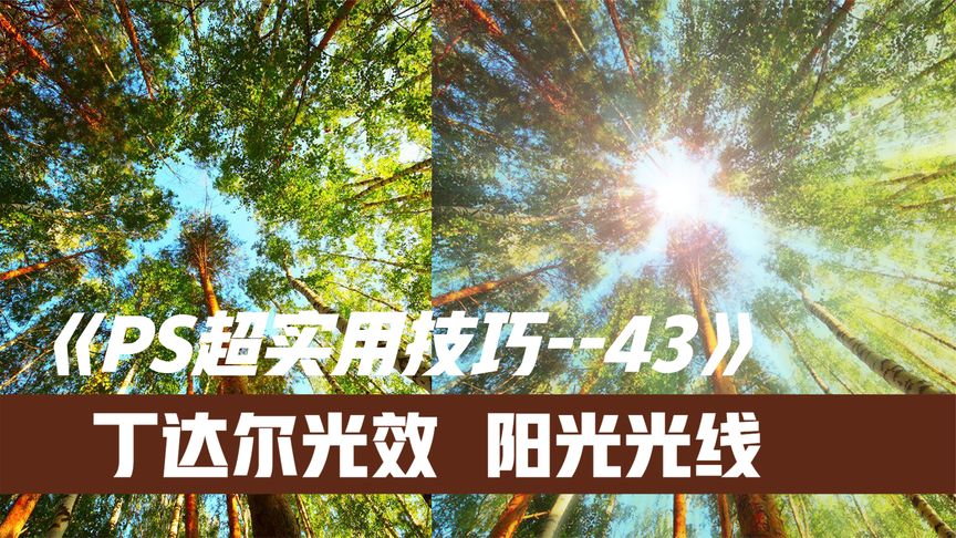 PS图片添加阳光照射效果,超实用为图片加点儿光照效果提升灵动性