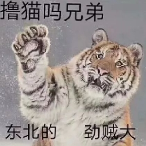 单色调逗比 