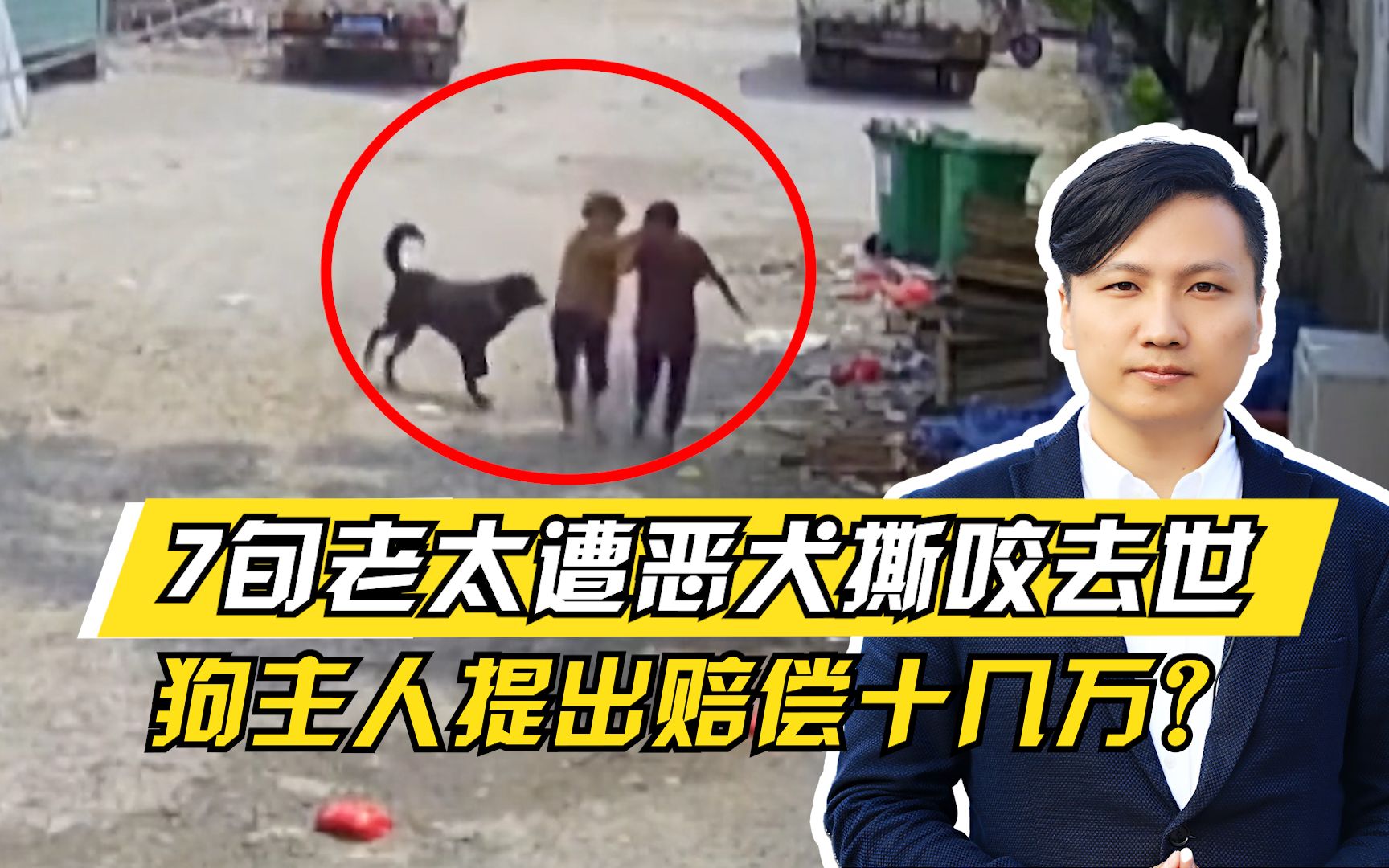 7旬老太被恶犬咬死,狗主人提出十几万赔偿?绝不能仅赔偿了事