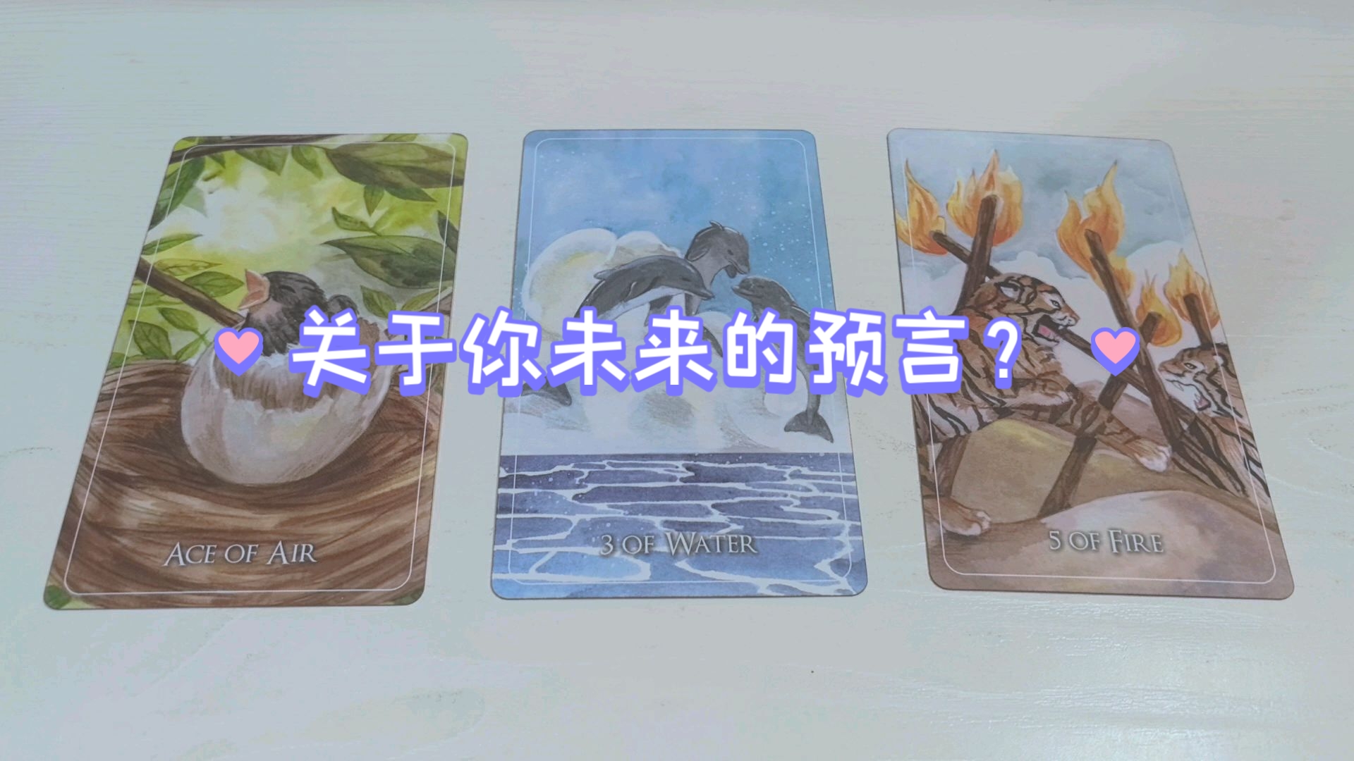 关于你未来的预言?