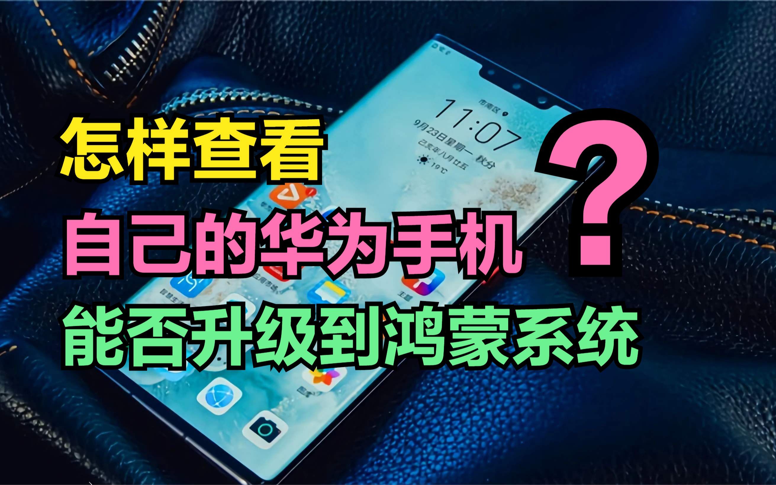 怎样查看自己的华为手机,能否升级到鸿蒙系统?不会的赶紧看过来