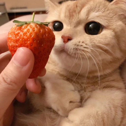 网易云音乐人-望穿 