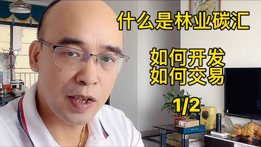 什么是林业碳汇。如何开发,如何交易?需要什么条件,什么资料