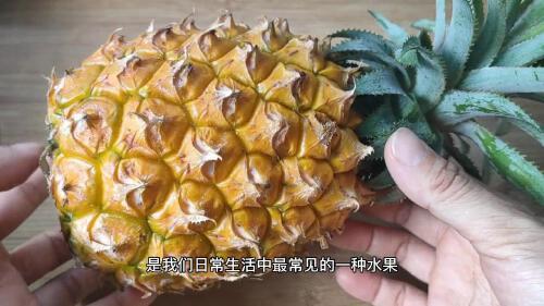 原来菠萝去皮可以这么简单,不削皮不挖眼,也不脏手,快速又省事
