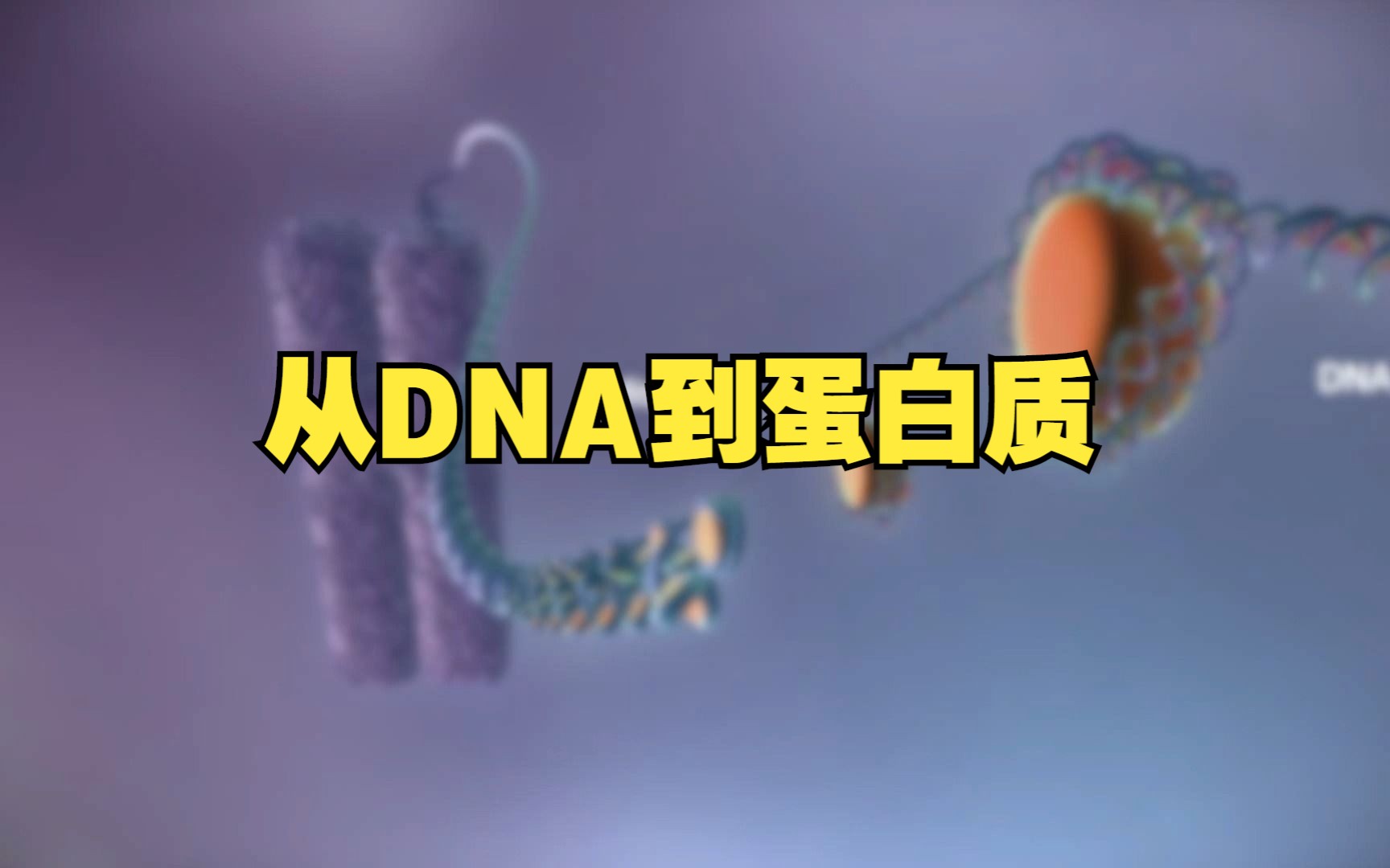 全网最直观的“从DNA到蛋白质的过程”3D动画讲解