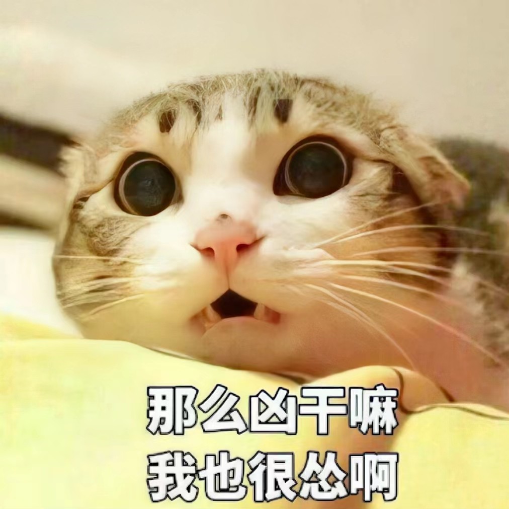 喵喵动画屋 