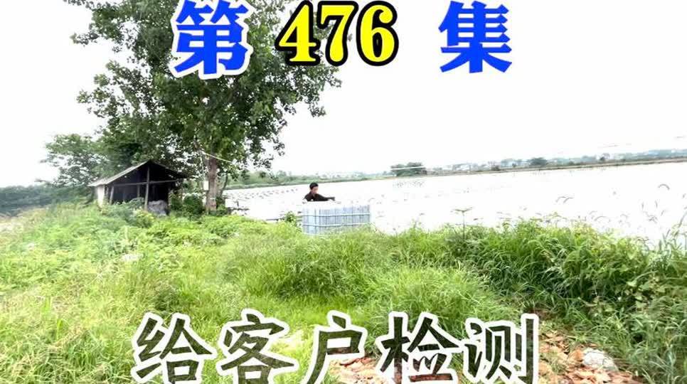 EM菌发酵4天后显微镜检测情况 发酵我们EM菌客户的日常菌群检测