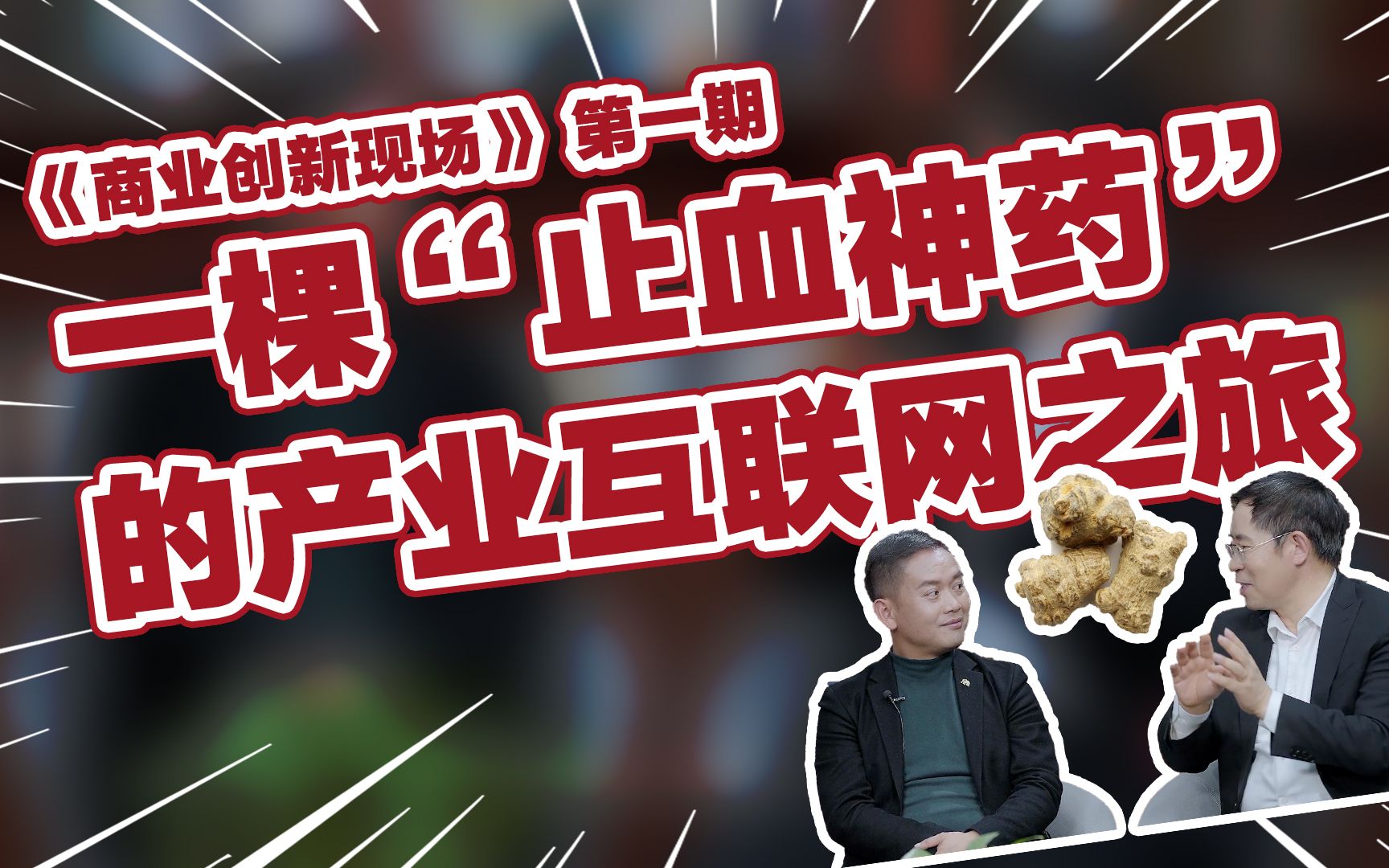 《商业创新现场》|一棵“止血神药”的产业互联网之旅
