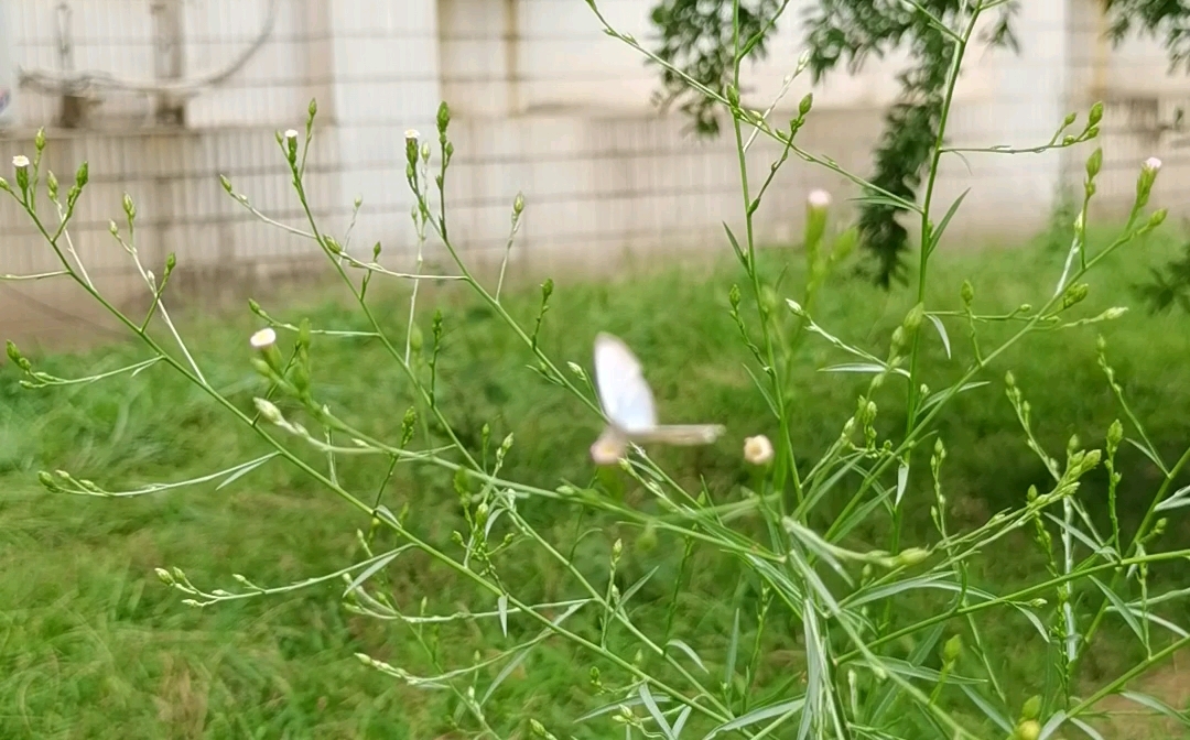 博士养成记004|科研工具汇总