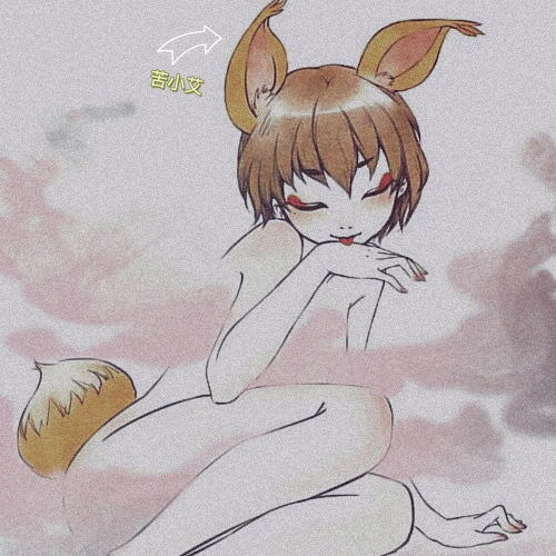 野生的乔嗷嗷 