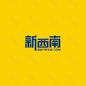 新西南教育王老师 