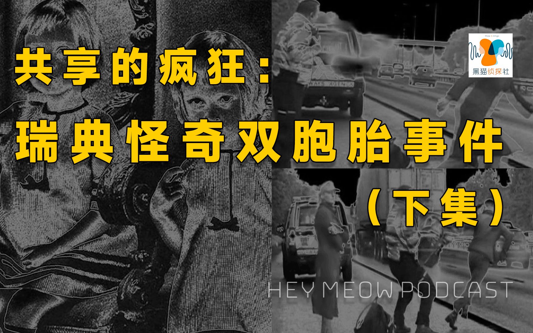 共享的疯狂:瑞典怪奇双胞胎事件(下集)