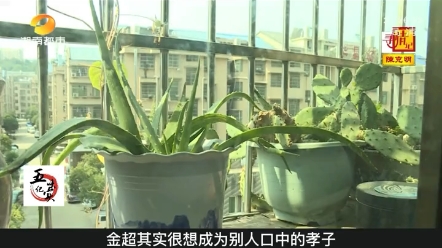 ...就带成严重肺炎,气得儿子用石头砸母亲第三集#社会纪实 #纪录片#情感