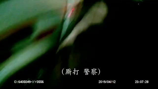 对于挑战法律权威,无视民警正当执法权益的违法犯罪行为