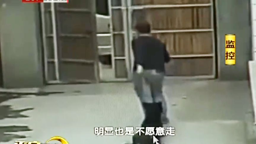 盗狗团伙胆大猖獗,撬锁破门入院偷狗,狮獒狼青多犬被盗(上)