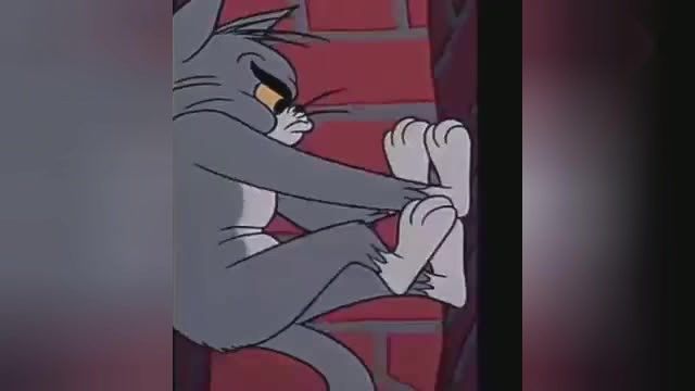 猫和老鼠 汤姆和杰瑞终于不打架了