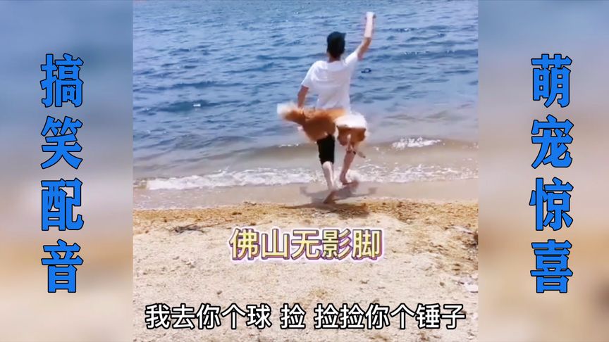 搞笑动物配音:萌宠总能给你带来惊喜 这样的惊喜你能接受几个?
