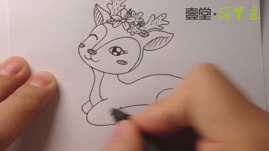 壹堂 简笔画 可爱简笔画.漂亮的梅花鹿-
