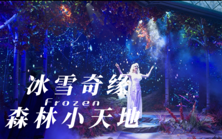 ...式体验:【4K60帧】香港迪士尼,带你走进森林小天地与冰雪奇缘的世界!