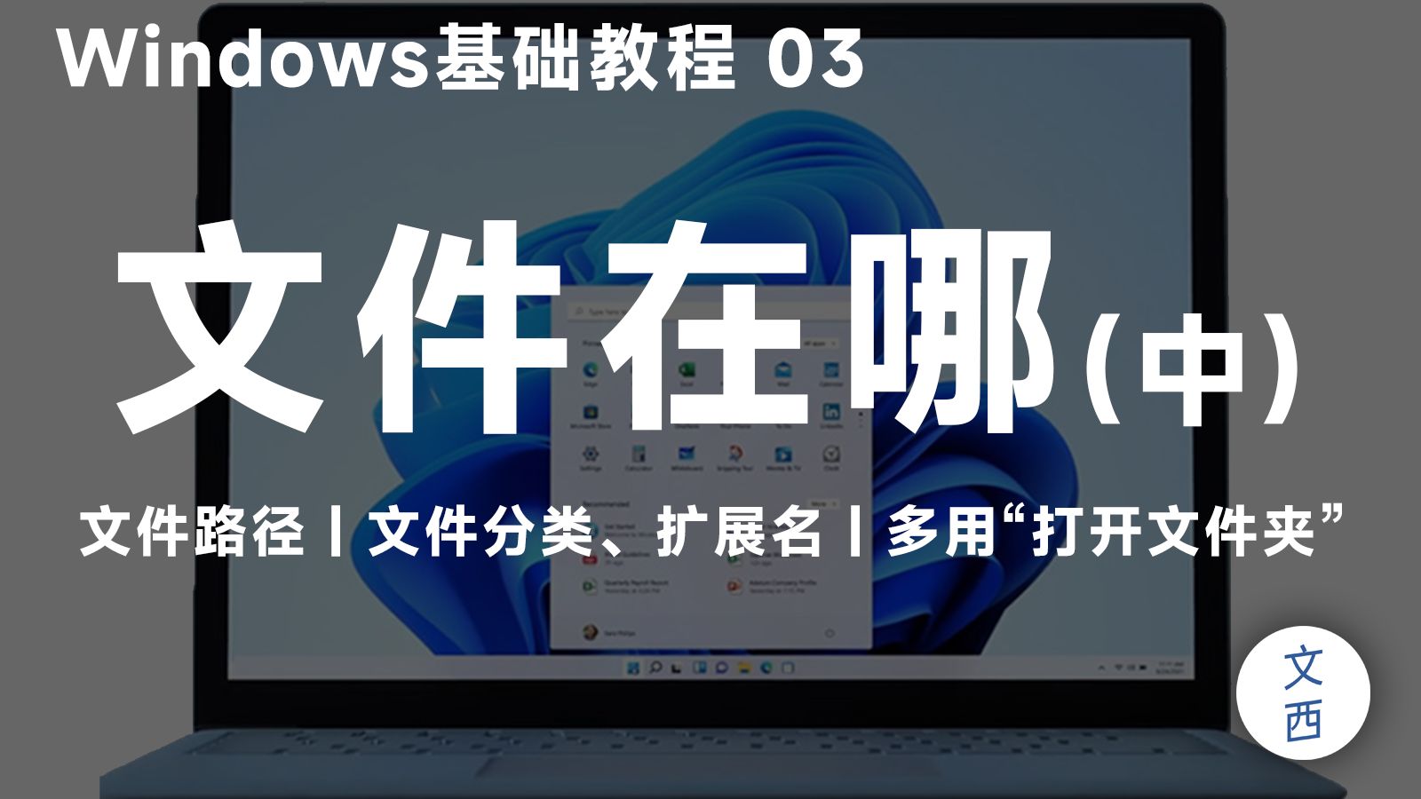 文件在哪(中)【大学生Windows基础03】文件路径丨文件分类、扩展名...