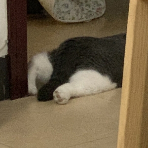 娇贵在此 