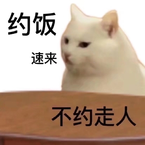 23001黑椒鸡块 