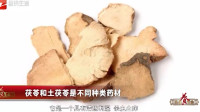 土茯苓和茯苓有什么关系?相同吗?这里告诉你
