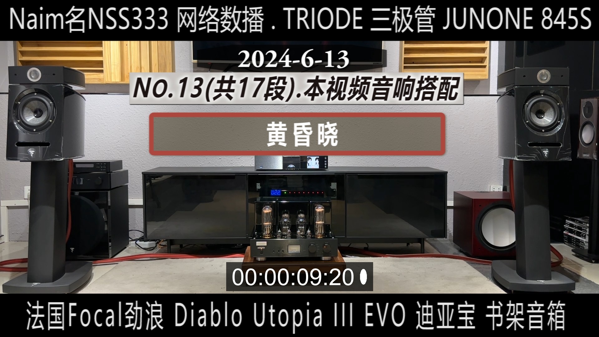 13-17 英国Naim名NSS333数播+劲浪迪亚宝书架音箱+TRIODE胆机