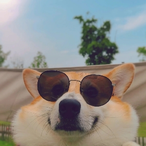 普普通通信小竞 