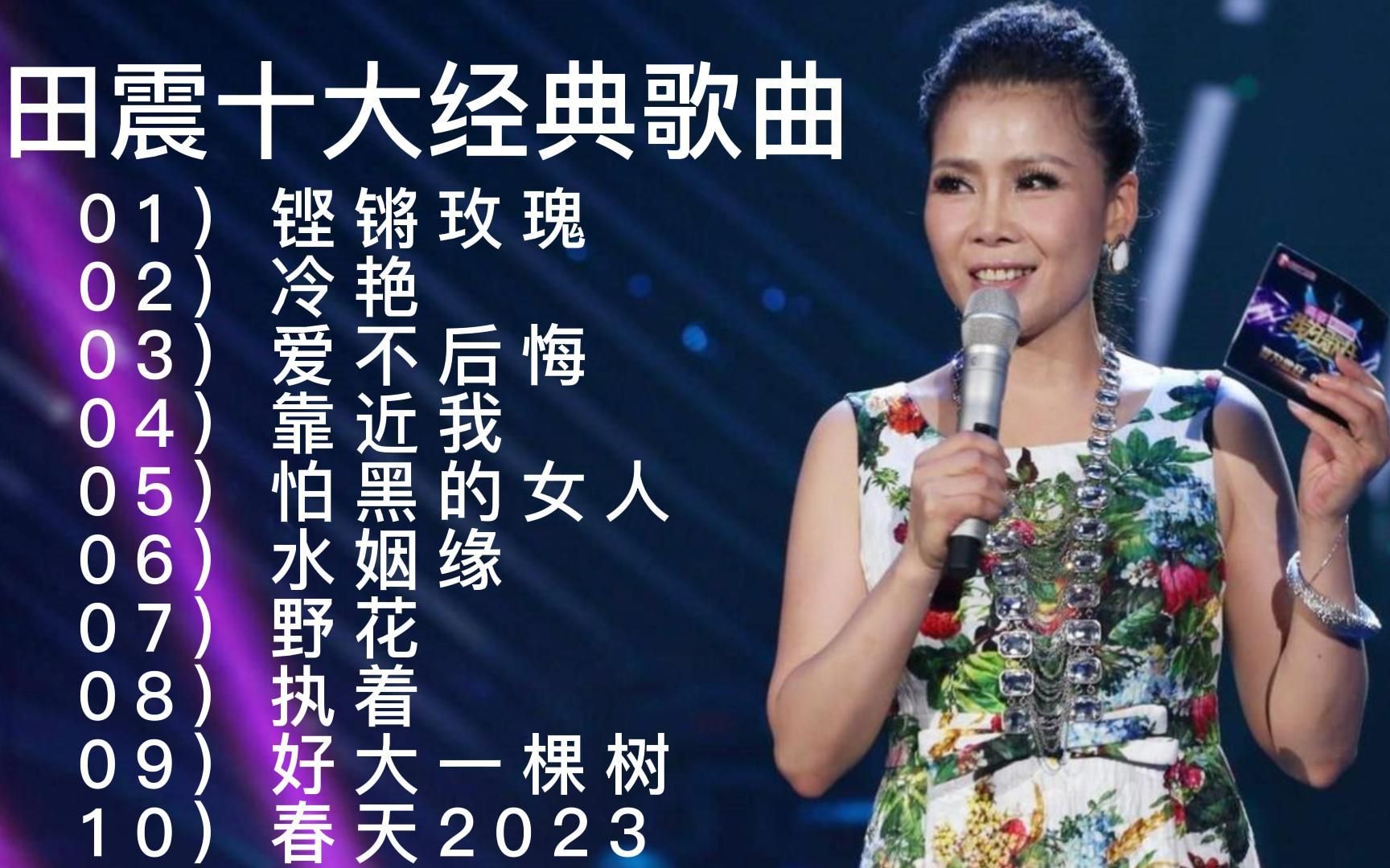 田震十大经典歌曲
