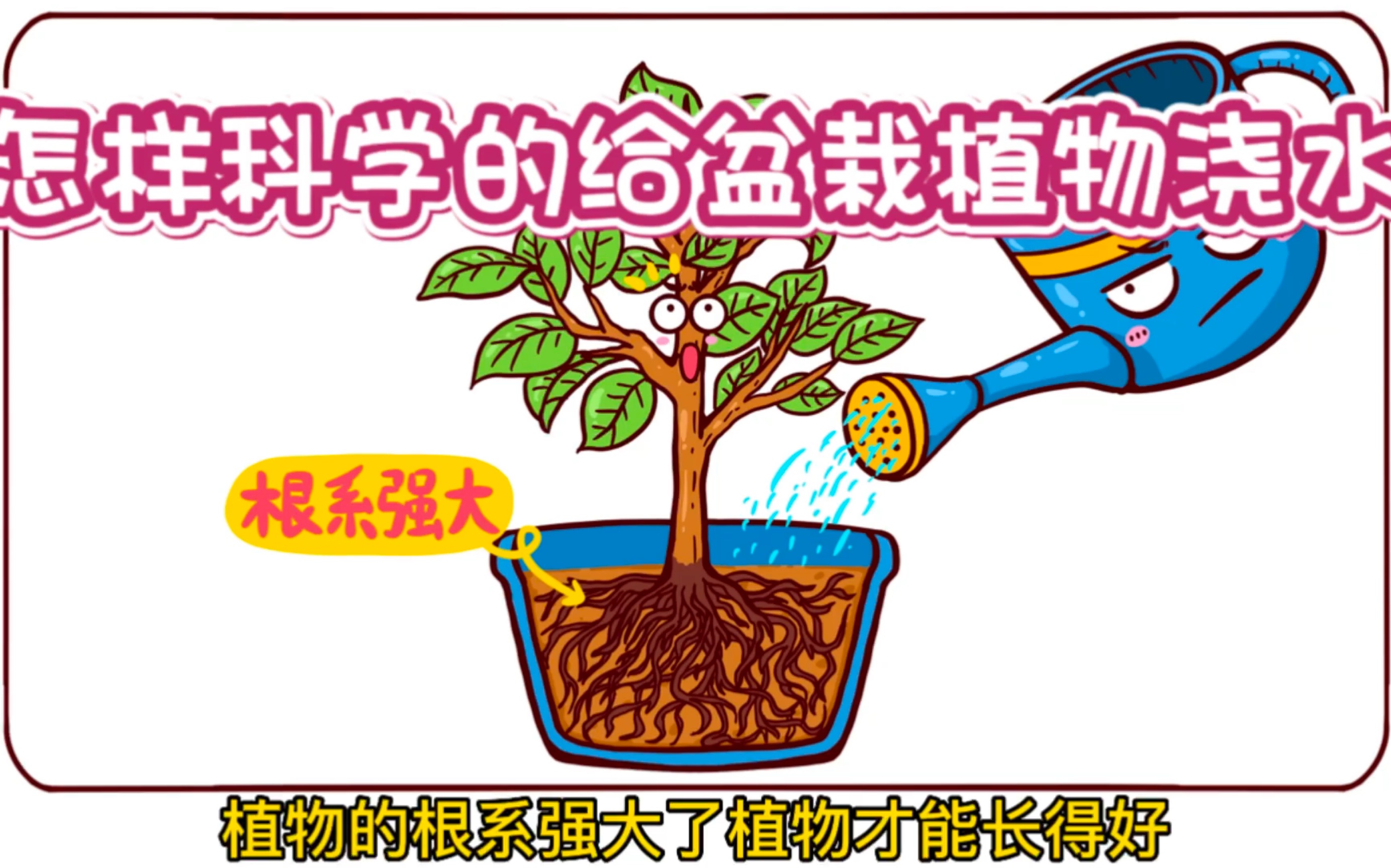 怎样科学的给盆栽植物浇水?