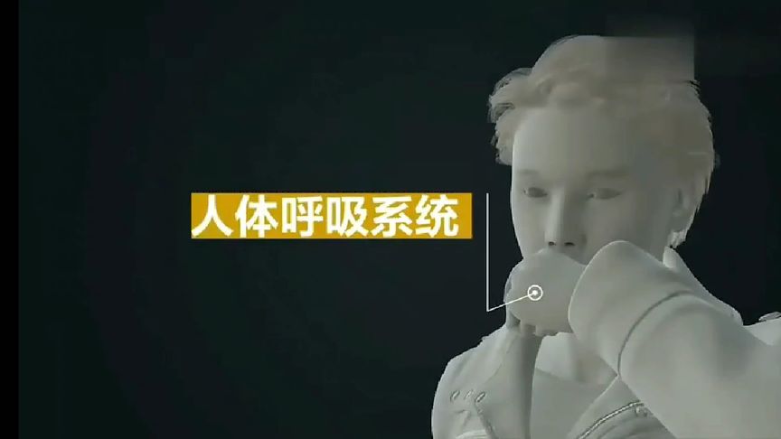 新型冠状病毒是如何感染人体的,用动画还原过程