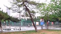 东北大学校园风景视频