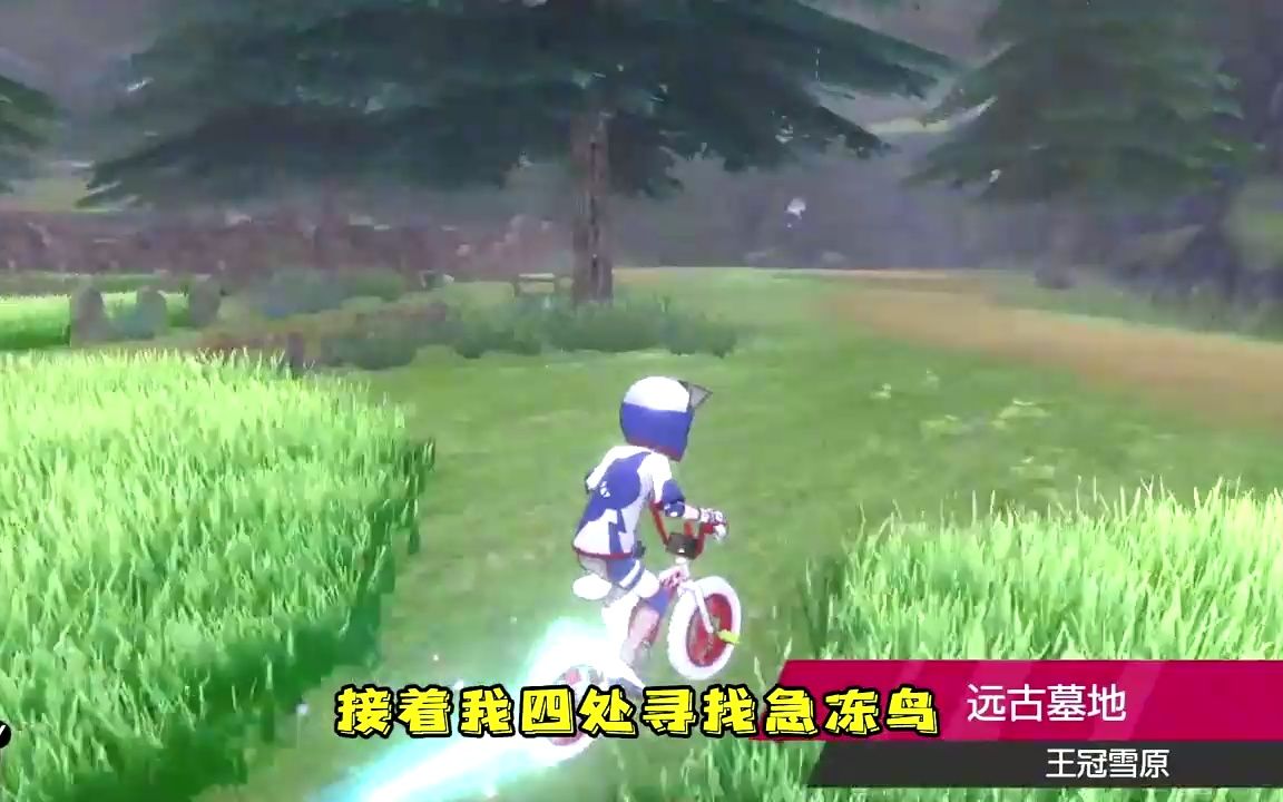 宝可梦剑盾:急冻鸟在王冠雪原,翱翔于天空,落地变成三重分身!