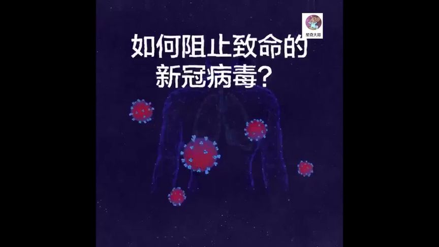 科普冠状病毒侵染人体的机理,以及现有药物如何阻断病毒的复制。