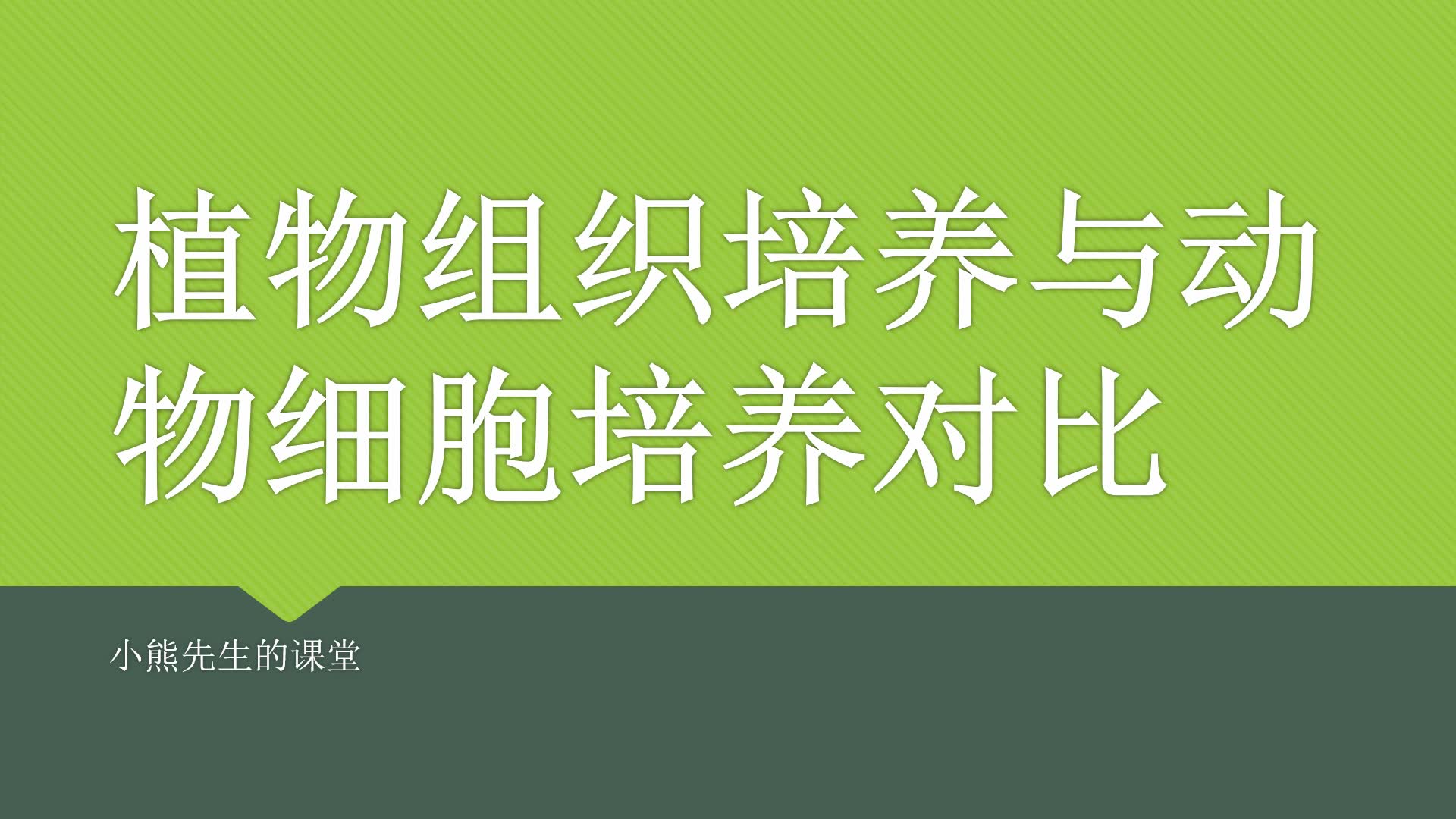【小熊先生的课堂】【中学生物】植物组织培养与动物细胞培养对比