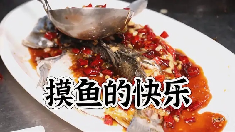 "摸鱼"到底有快乐来到这儿的那一刻,就具象化了