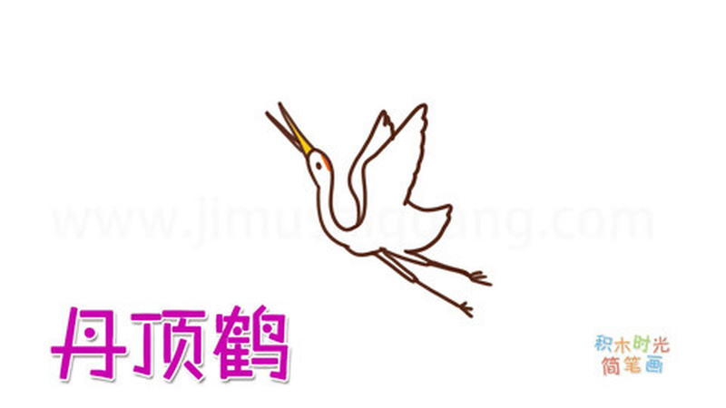 动物简笔画大全,画展翅翱翔的丹顶鹤简笔画
