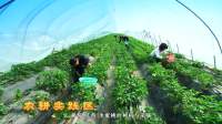 泰州市青少年综合实践基地宣传视频