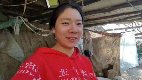 中药渣水溶肥发酵好了,油光发亮,肥力超足,使用方法分享给大家