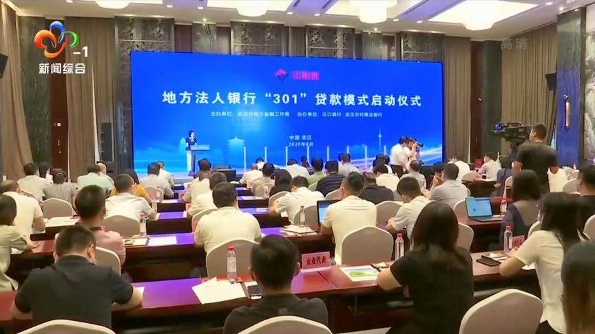 武汉市地方法人银行“301”贷款模式启动