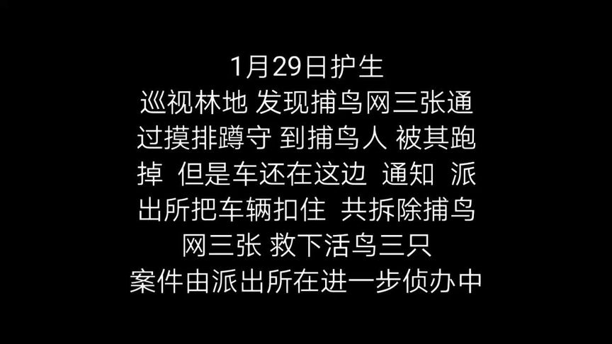 打击非法捕捉野生动物,我们在行动!#保护野生动物