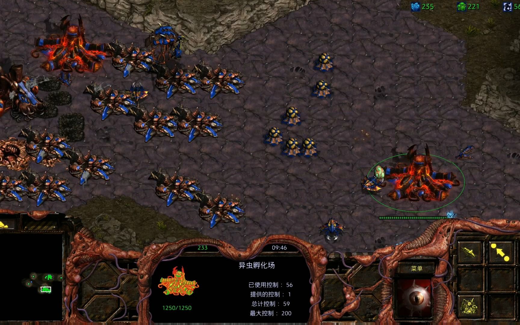 星际争霸1 官方战役oldladder(8)Green Valleys萌新教学之卡农民堵路爆...