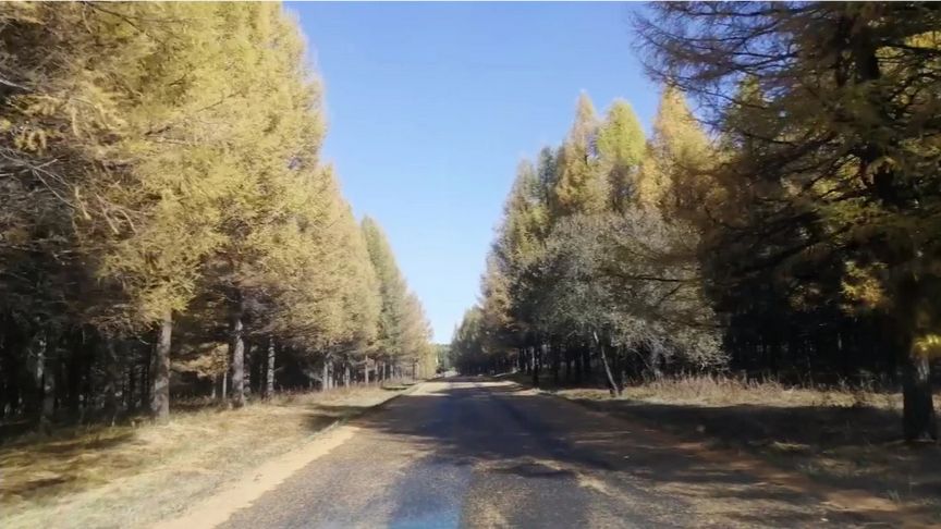 塞罕坝国家森林公园自驾游开了一天的车终于到了,景色挺美。