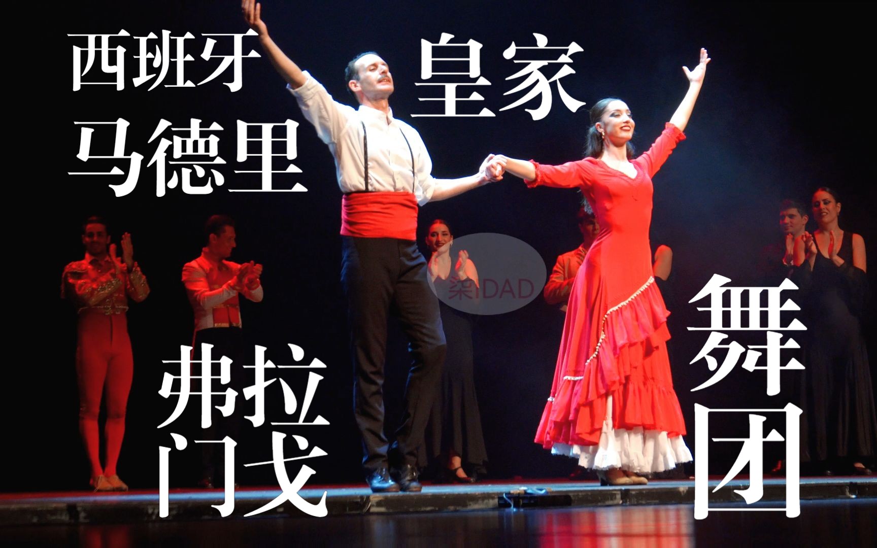 【西班牙马德里弗拉门戈舞团】舞剧【卡门】演后谢幕4K蓝光超清 一...
