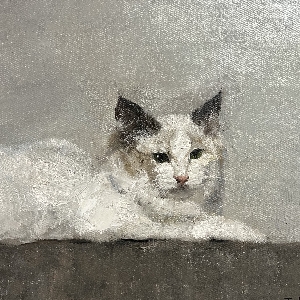 画画的耗子 