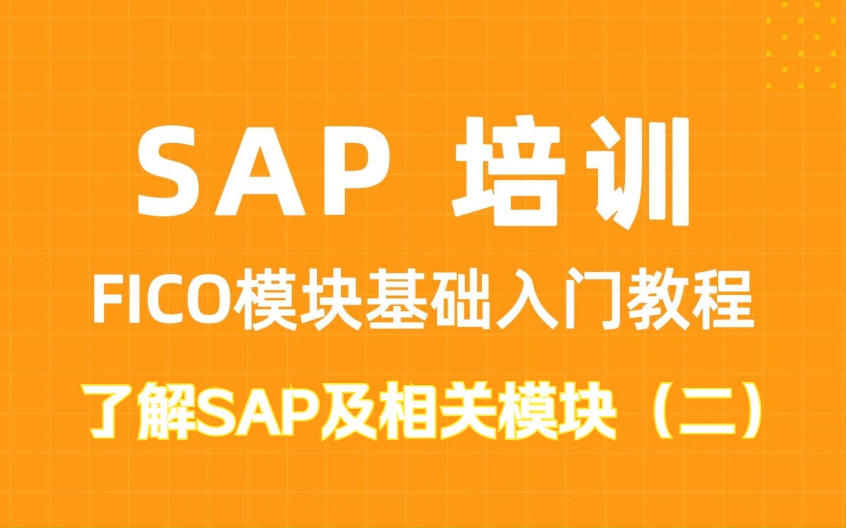 0基础学习SAP 了解SAP及相关模块(二)