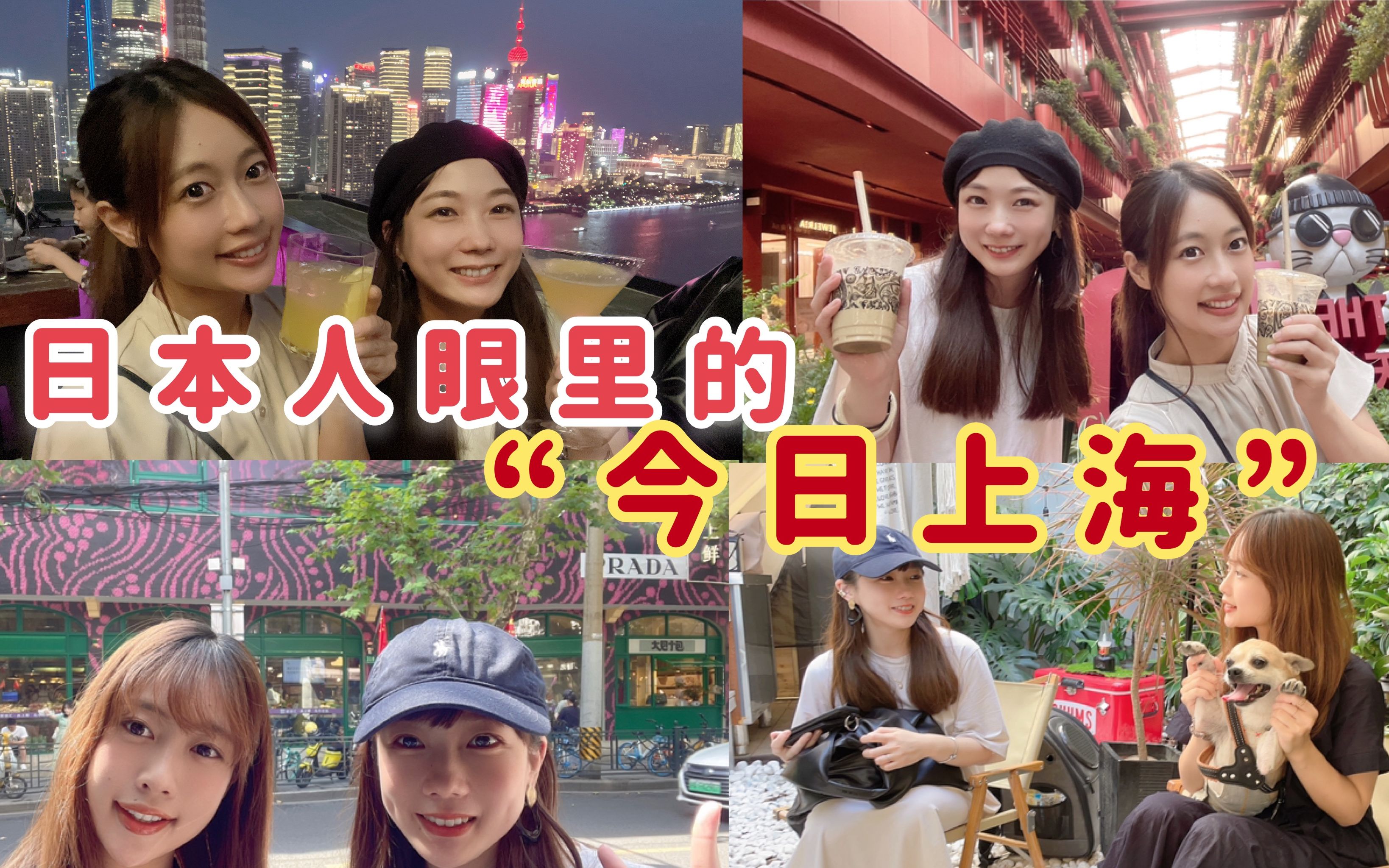 上海在住樱花妹心动的“上海旅游攻略”| 如果有朋友从日本来一定想...