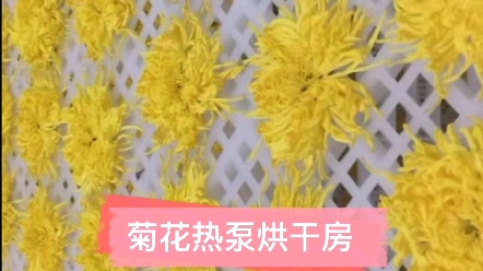 ...房,省电环保,省人工,智能触摸屏控制系统,漏电保护器,烘干颜色保持原色