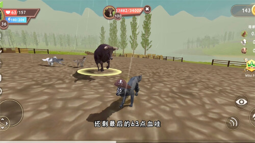 狼模拟器尝试挑战斗牛王,一共3万5千的血量